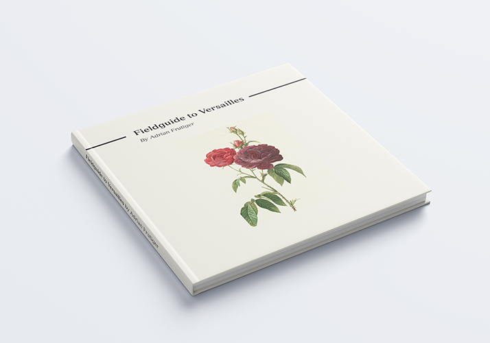 Fieldguide to Versailles: Type Specimen Book - Kayden Sanden-Kolheffer